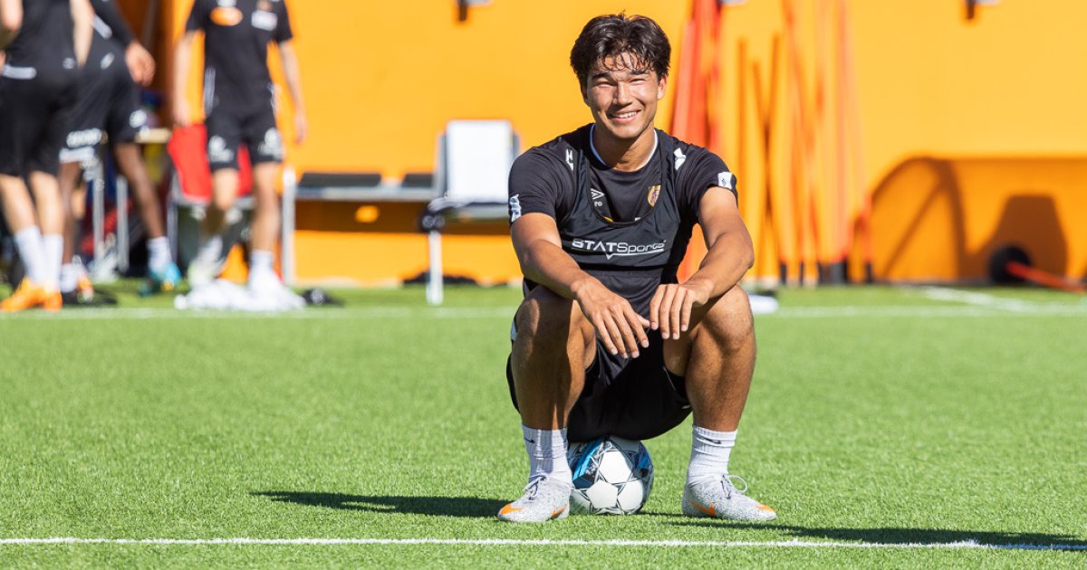 Bjørn blir begeistret av kyr / Aalesund